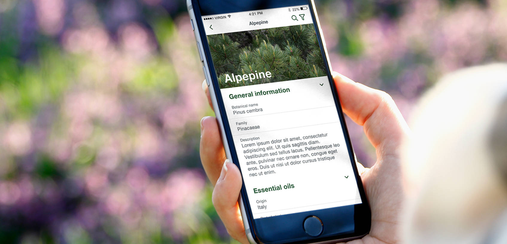 Aromen App | Aromen B2C